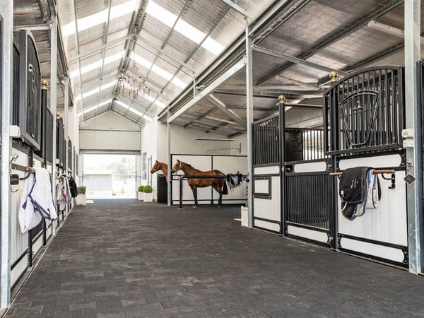 Everything you need to know about building horse stables